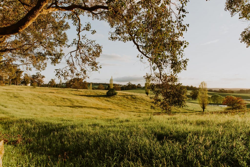The Boyanup Tavern - Ferguson Valley