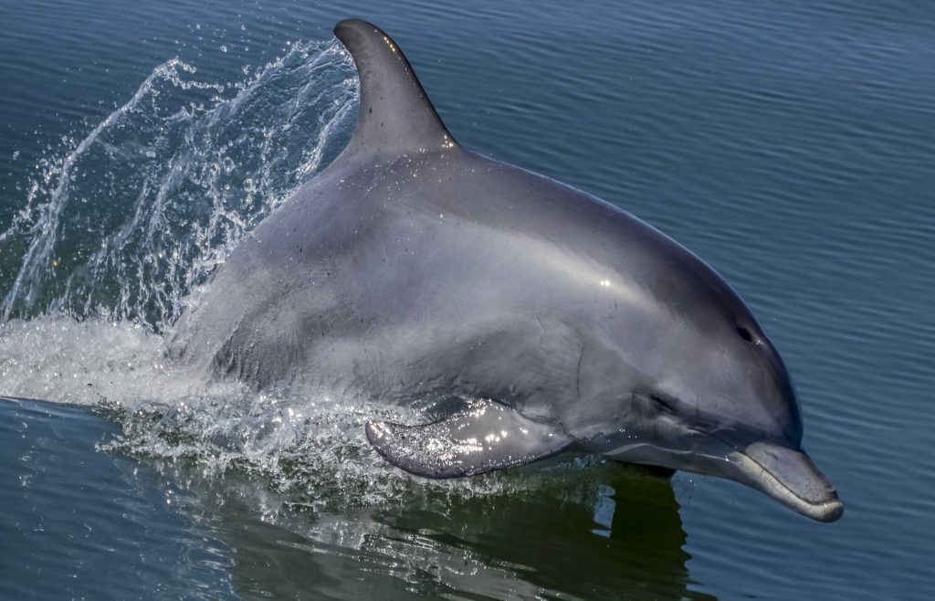 Dolphin Discovery Centre Bunbury - Ferguson Valley