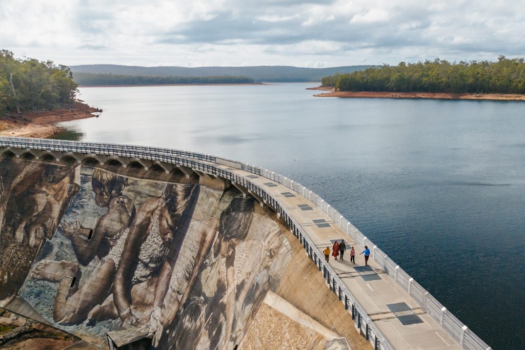 Forest Explorers - Ferguson Valley
